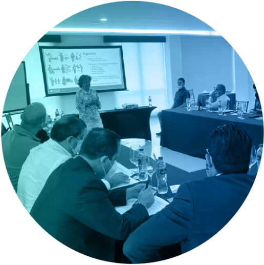 Historia de OECO Quienes somos y como nace el observatorio